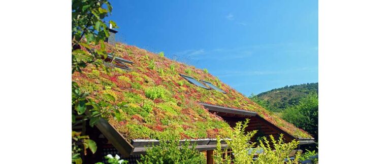 Nachhaltige Dachbegrünung: Vorteile, Kosten und Förderung